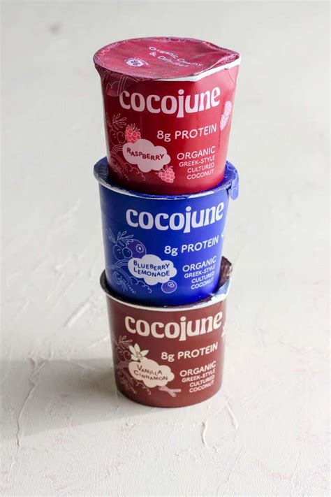 Cocojune Greek Style Yogurt Review My Life After Dairy