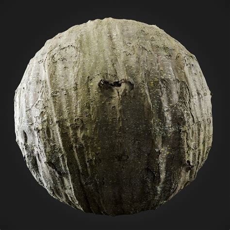 Spherical Tree Bark Texture With Cracks 3d Model Download Trees On