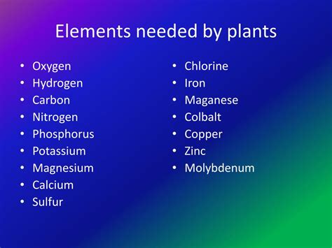 Ppt Plant Anatomy Powerpoint Presentation Free Download Id 2145559