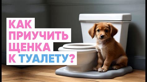 Щенок ПИСАЕТ и ГАДИТ где попало Как ПРИУЧИТЬ собаку К ТУАЛЕТУ на пеленку или в лоток 🧻🐶 Youtube