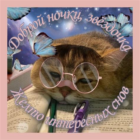 Доброй ночи Мемы Милые котики Ночь