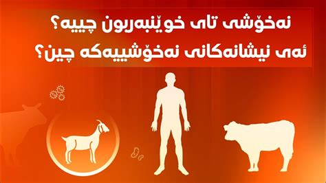 🔻 نەخۆشی تای خوێنبەربوون چیە؟🔻نیشانەکانی نەخۆشیەکە چین؟🔻چۆن خۆمانی
