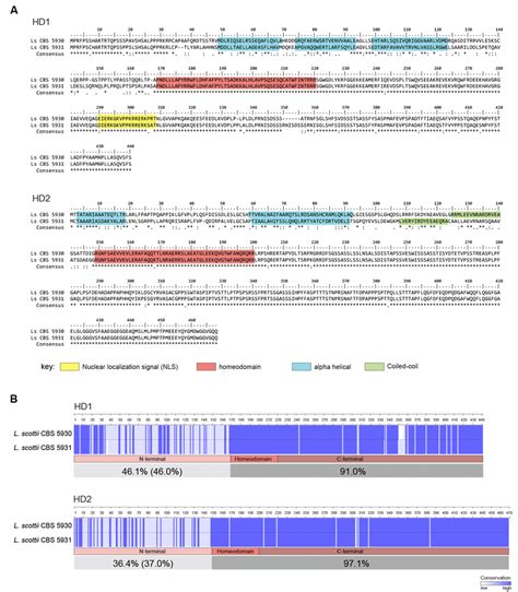 Figure S2 Sequence Alignment Of The Hd1 And Hd2 Gene Products From L Download Scientific