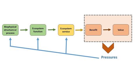 Framework Of Ecosystem Services Framework Showing The Relation Between Download Scientific
