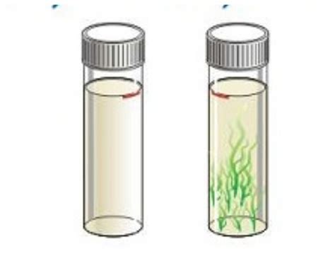 Algae Test Kit At ₹ 3770 Number Bacteria Detection Kit In Ankleshwar
