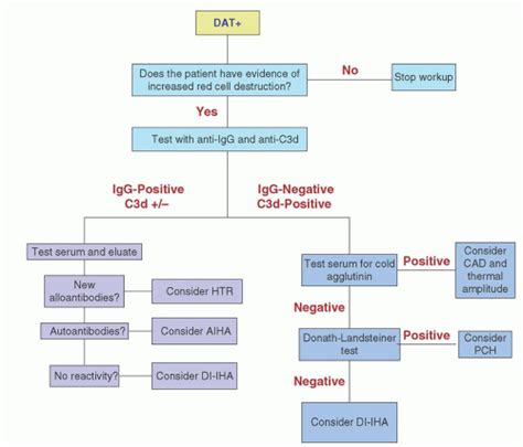 Autoimmune Hemolytic Anemia Oncohema Key Autoimmune Hemolytic Anemia Oncohema Key