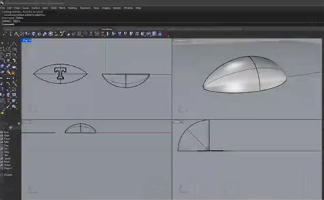 Issues With Flow Along Surface Rrhino