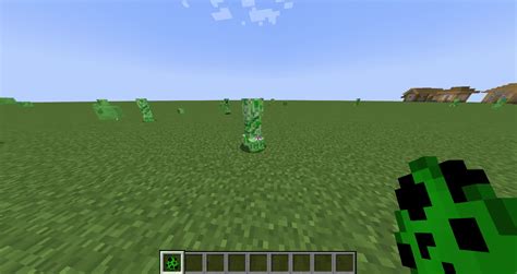 Creeper Object Detection Dataset By Hamod