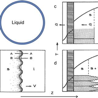 A Schematic Plot Of Bulk Energy W As A Function Of The Order Parameter Download Scientific