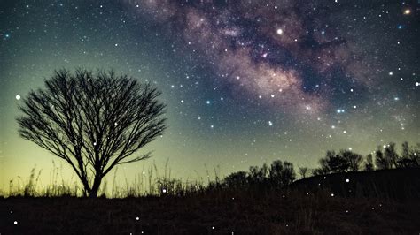 20분 안에 잠을 자게하는 기적의 음악 힐링음악 잠잘오는음악 잠오는 음악 지금 당장 자야 한다면 들어야 하는 수면유도음악 잠잘 때 듣는 음악 Youtube