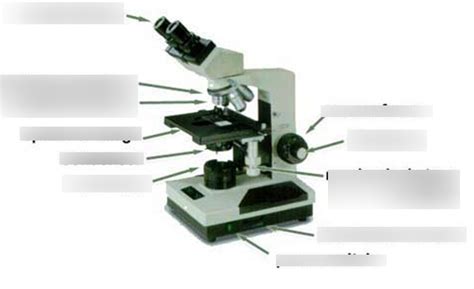 A P Lab 1 Diagram Quizlet A P Lab 1 Diagram Quizlet