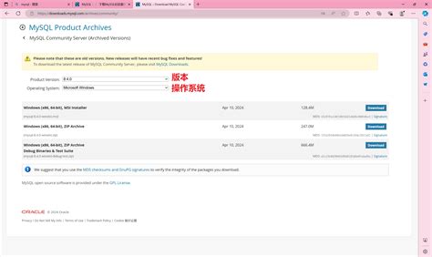 mysql安装教程（保姆级） csdn博客