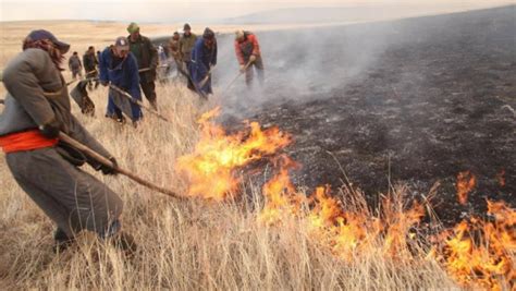 Дорнод аймгийн Сүмбэр суманд хээрийн түймэр гарч 3000 га орчим талбай өртжээ