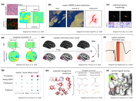 Explainable Artificial Intelligence For Improving Natural Disaster Management