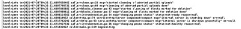 Compactor Failed To Run Compactor And Deletion Mark Json Is Remained In My Minio Issue