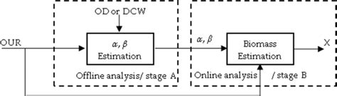 Biomass Estimators Structure Scheme Of Different Estimation Stages