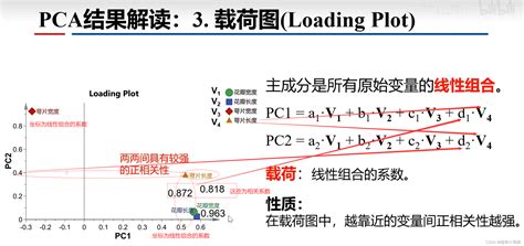 Pca分析（主成分分析） 结果解读pca分析结果解读 Csdn博客
