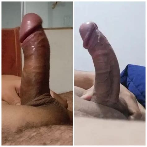 Foto De Two Cocks Compared Which Is Better