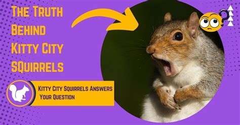 Mystery Of Squirrel Teeth And Malocclusion With Photos