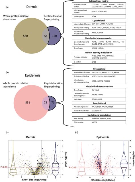 Peptide Location Fingerprinting Identifies Unique Modification‐specific Download Scientific