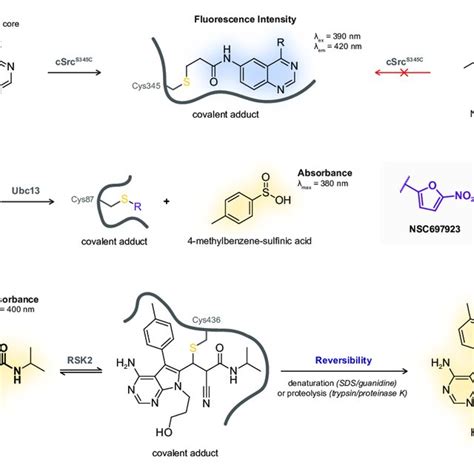 Validation Of A Covalent Binding Mode By Direct Detection Of The Download Scientific Diagram