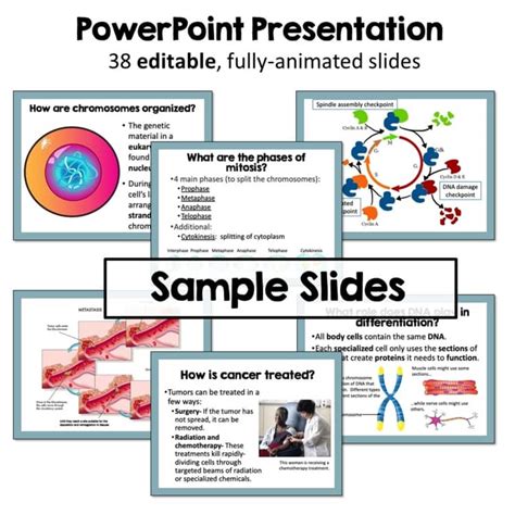 Biology Cornell Notes Cell Cycle Mitosis Cell Division Cancer