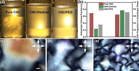 Phase Separation Of Cncpolymer Suspension With Cholesteric