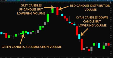Volume Behavior For Thinkorswim — Global Trading Software