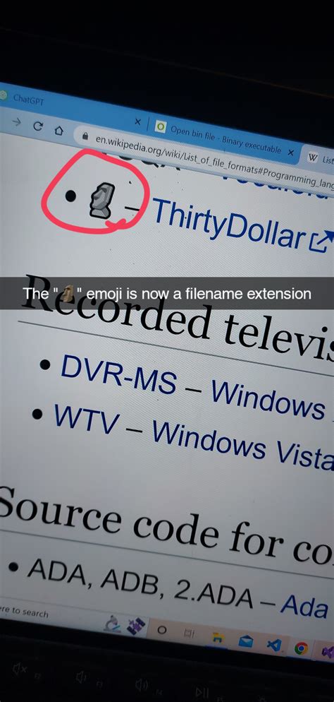 🗿 Is Now A Filename Extension Rwikipediamemes
