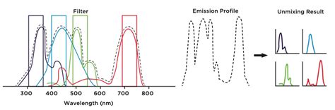 unlocking insights the vital role of unmixing algorithms in spectral