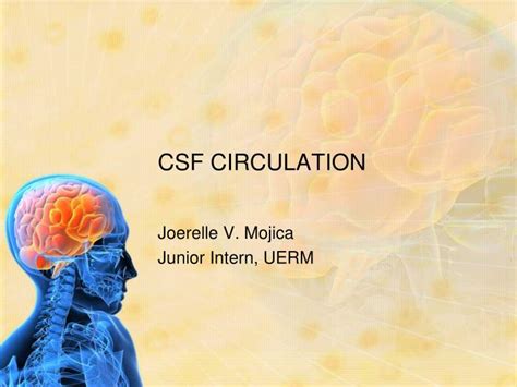 Ppt Csf Circulation Powerpoint Presentation Free Download Id 2427537