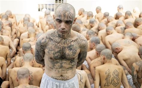 Hidden Messages In The Tattoos That Adorn Gang Member Inmates Of El