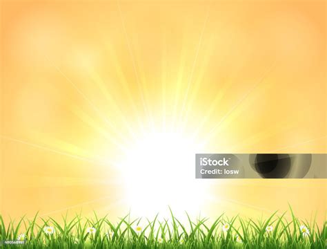 Background With Sun And Grass Stock Illustration Download Image Now