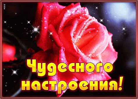 Романтичная и чувственная гиф открытка Чудесного настроения Скачать бесплатно на