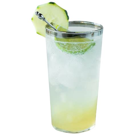 Nimbu Pani Mint Julep Desi Licious