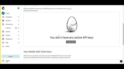 How To Get Mailchimp Api Key Youtube