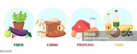 섬유 탄수화물 단백질 지방 벡터 일러스트 레이 션 세트의 소스 다량 영양소에 대한 스톡 벡터 아트 및 기타 이미지 다량 영양소 곡초류 과일 Istock