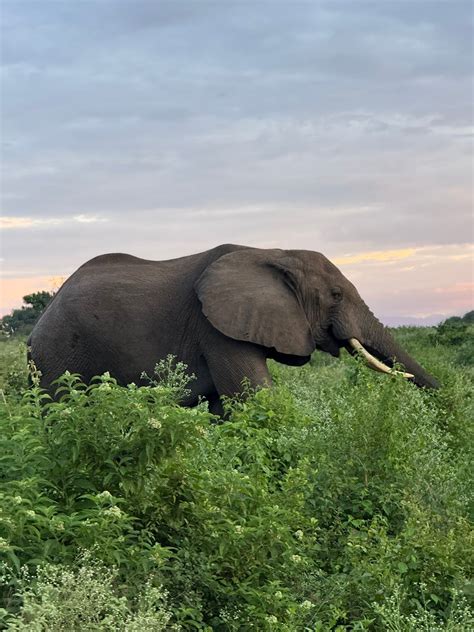 Isaiah First Friend Of The Day Facebook