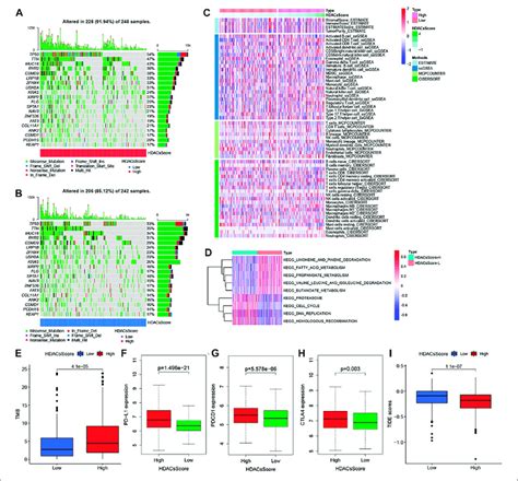 Genetic Alteration Landscape Immune Infiltration And Biological