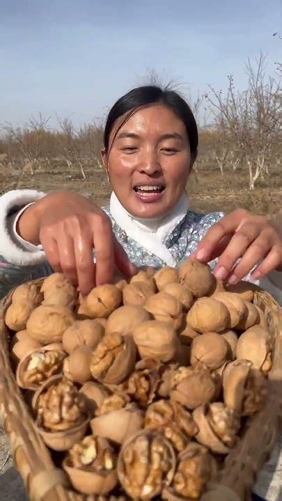 塔里木河区域公共品牌 最美阿拉尔 塔里木河区域公共品牌 Youtube