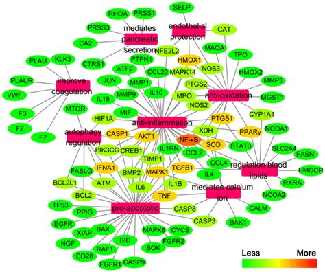 The Target Function Network Download Scientific Diagram