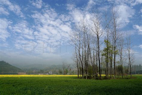 梅蓉村高清图片 杭州市桐庐县桐君街道梅蓉村风光 风景名胜免费下载格式6000像素编号43810572 千图网