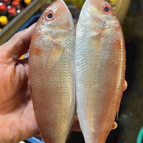 Cá Đổng Hải Sản Ông Giàu