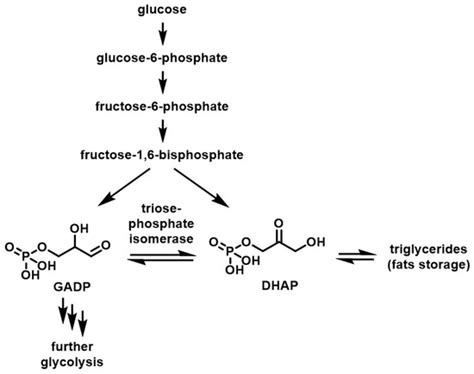 Dihydroxyacetone A User Guide For A Challenging Bio Based Synthon