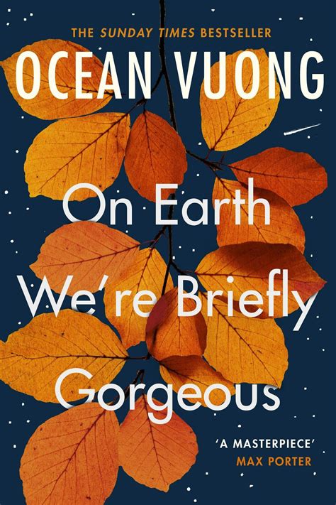 On Earth Were Briefly Gorgeous Von Ocean Vuong Taschenbuch 978 1