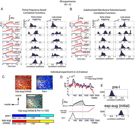 Spatiotemporal Correlation Analysis Of Activity A Correlation Download Scientific Diagram