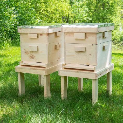 Diy Beehive Build Your Own Backyard Bee Sanctuary