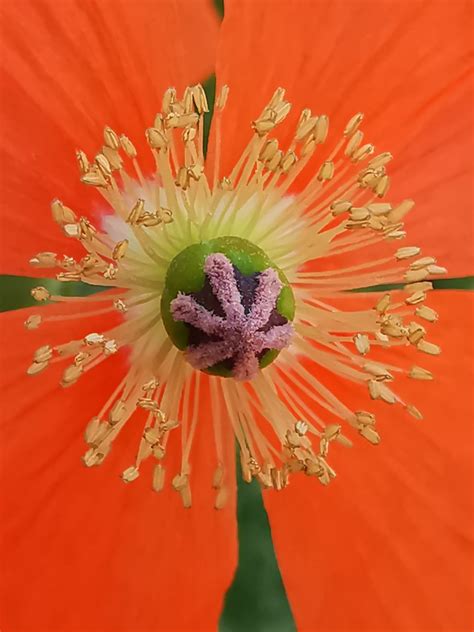 Food Co2 Sustainability Act Biodiversity Philipp Ullmann