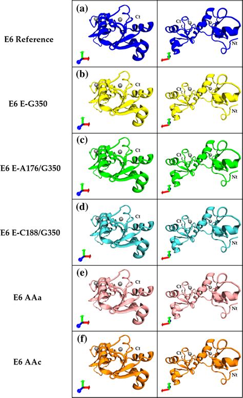 Structures Of The Reference E6 Oncoprotein And Five Variants A Download Scientific Diagram