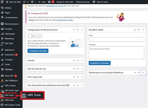 Le Plugin Wordpress Lws Tools Comment Sen Servir Optimiser Et Sécuriser Wordpress